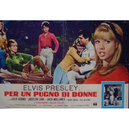 Tickle Me Italian fotobusta movie poster - illustraction Gallery
