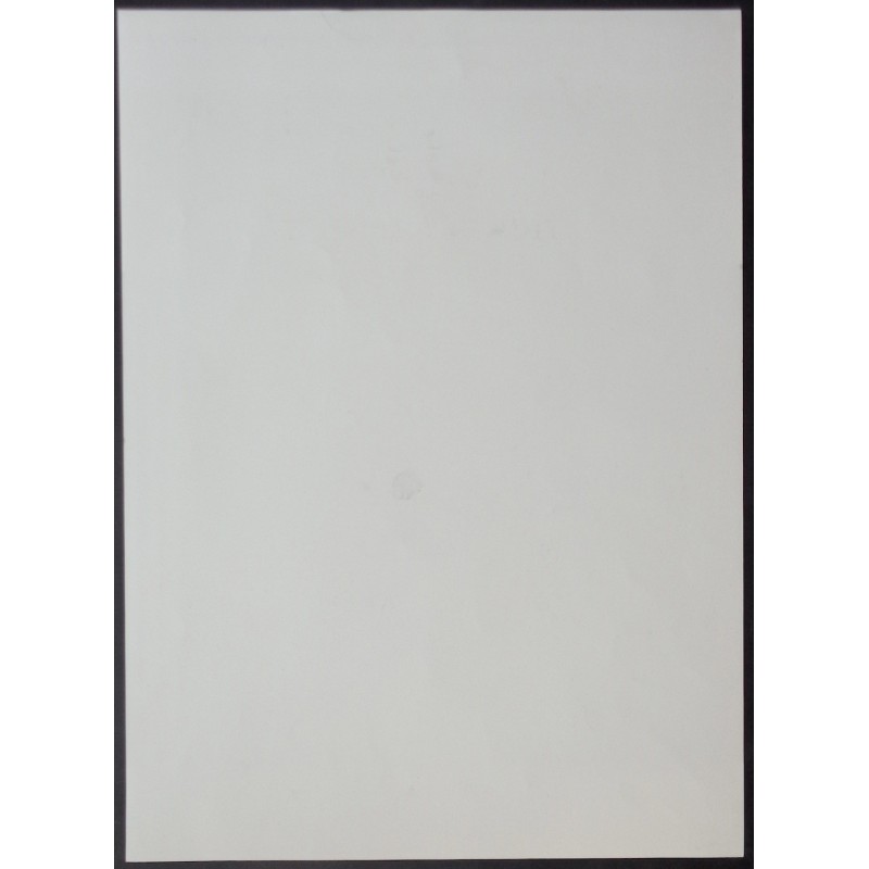 Van Morrison 1978 Buffalo concert poster - illustraction Gallery