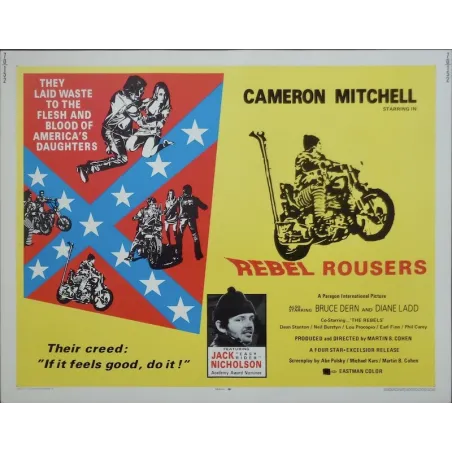 The Rebel Rousers half sheet movie poster - illustraction Gallery