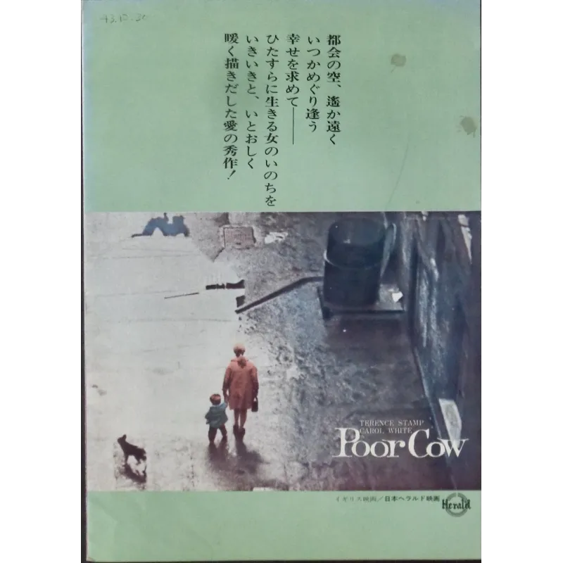 Poor Cow Japanese movie poster - illustraction Gallery