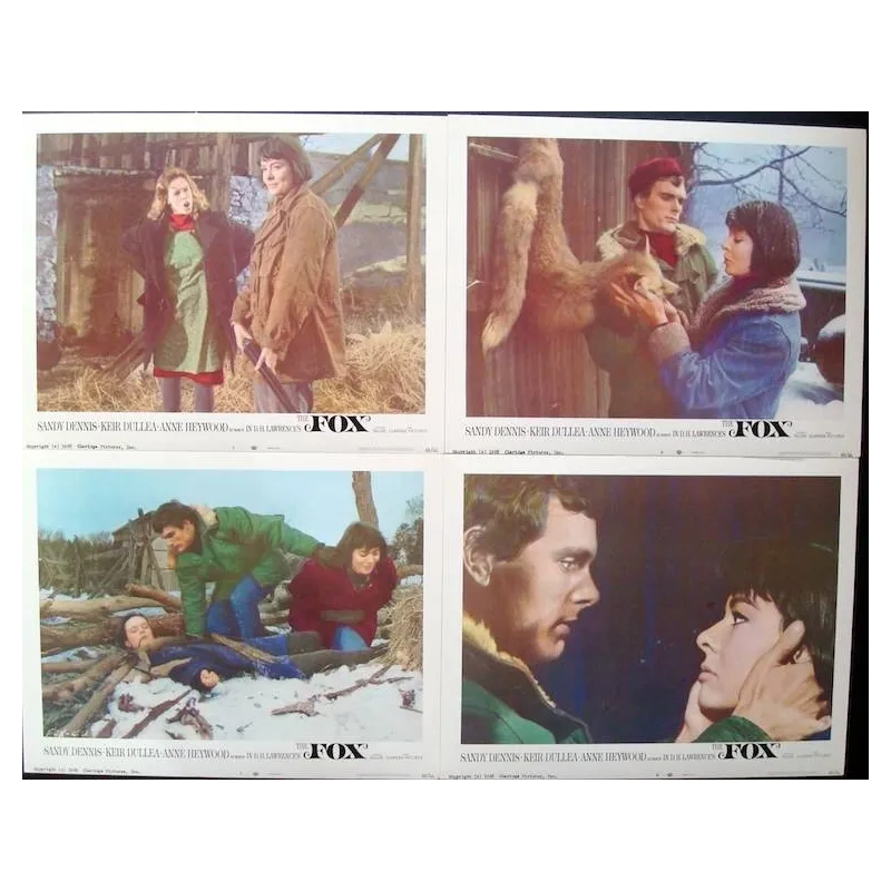 The Fox complete set of 8 movie lobby cards - Illustraction Gallery